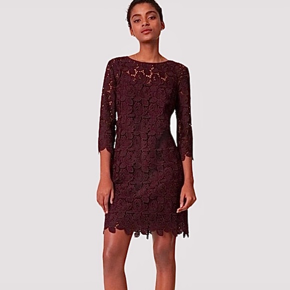 LOFT | Dresses | Loft Floral Embroidered Eyelet Lace Scallop Hem Shift ...
